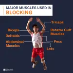Muscles Used In Volleyball (Broken Down By Skill & Position ...