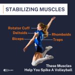 11 Exercises To Improve Your Volleyball Spike | Volleyball Advice